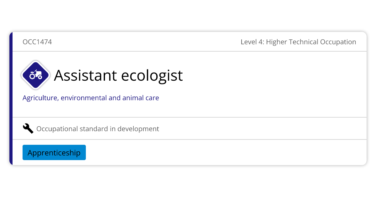 Assistant ecologist